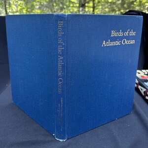 Birds of the Atlantic Ocean -text by Ted Stokes -paintings by Keith ...