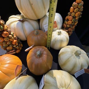 Huge Lot of New Halloween Harvest Autumn Foam Pumpkins NWT! New! - Etsy