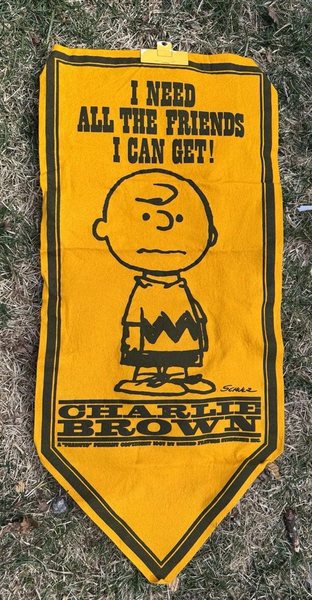 1967 Felt Charlie Brown Banner I Need All the Friends I Can Get Mint ...