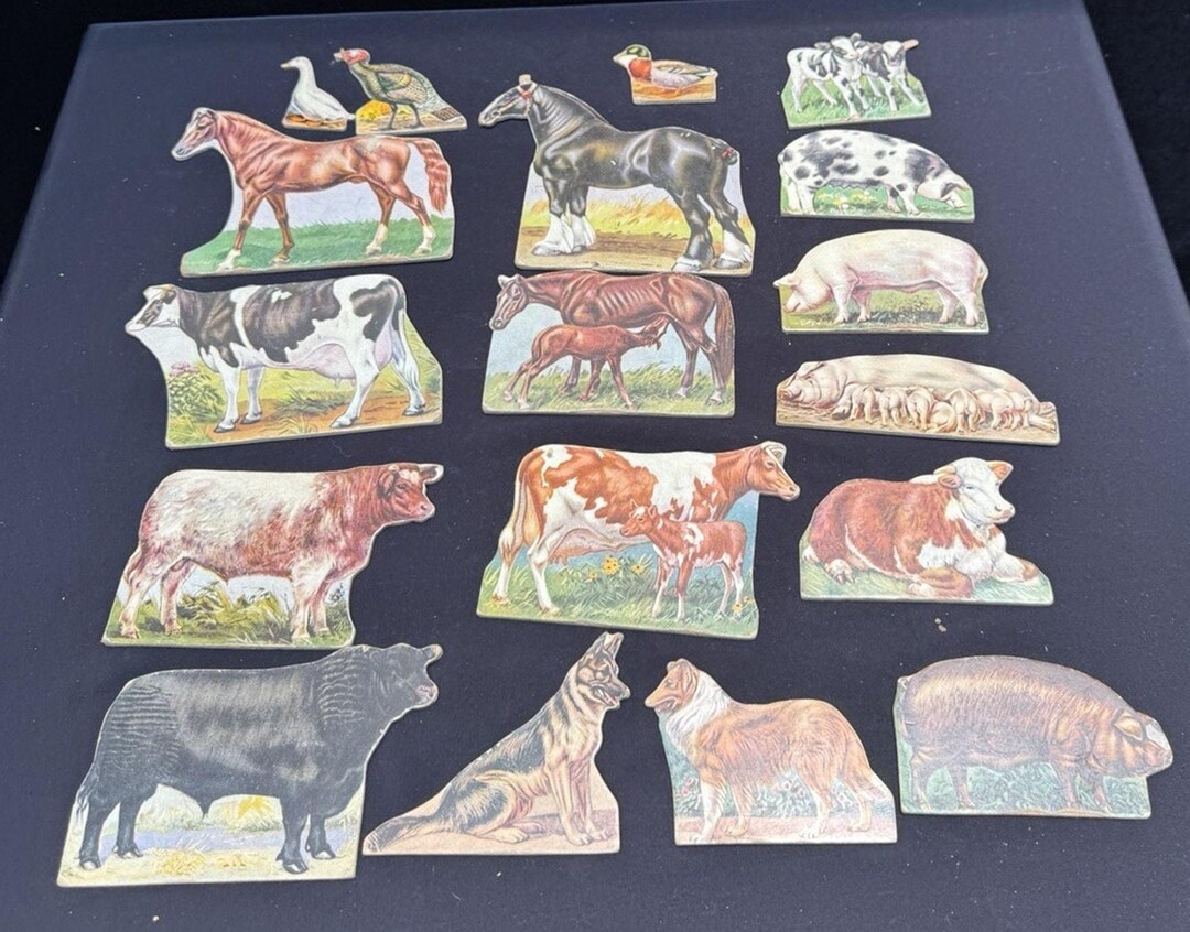 Vintage 1940's Whitman Educational Graphic Toys Farm Animals Litho ...