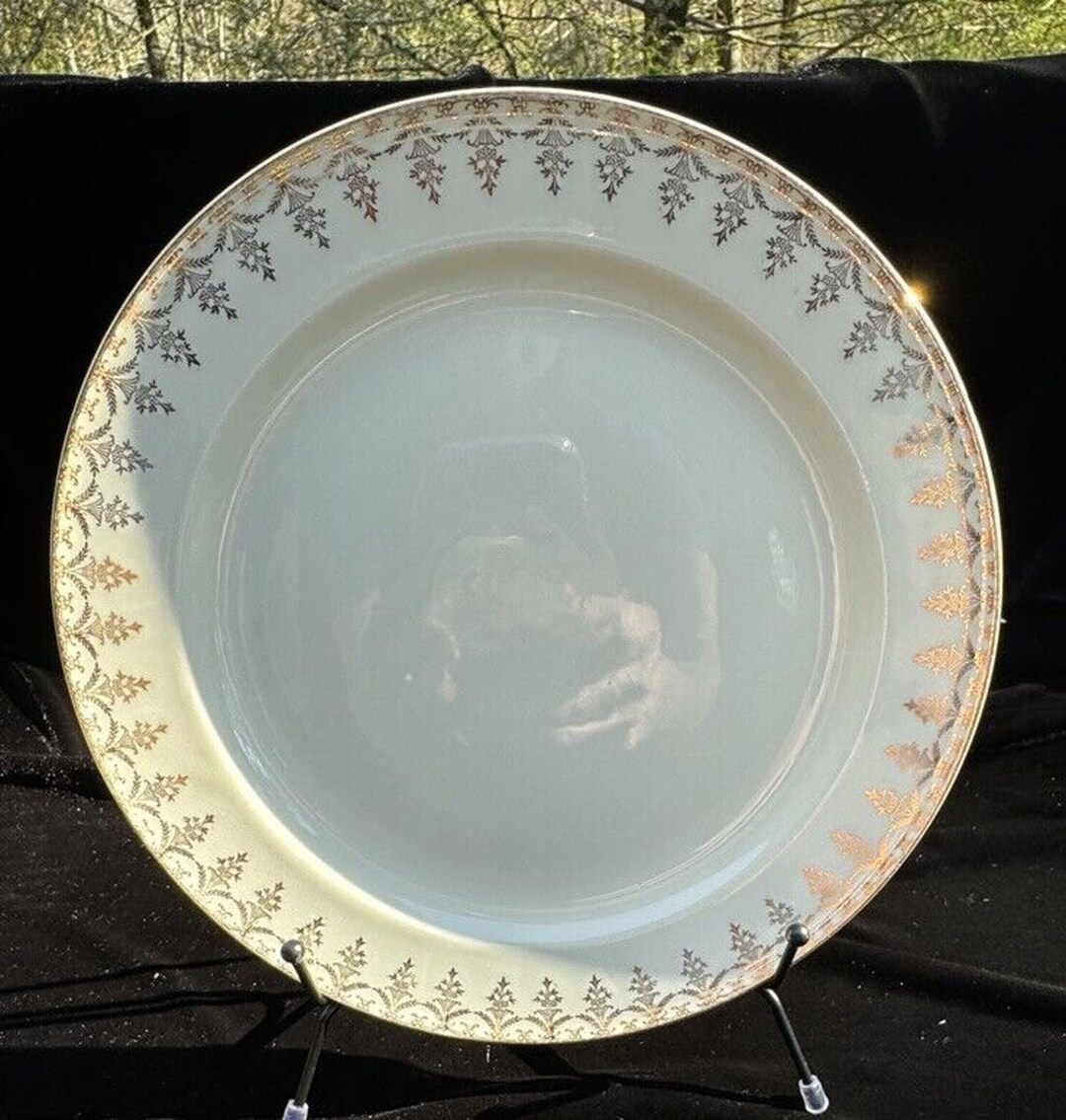 Beautiful Edwin Knowles China Gold Trim Semi Vitreous Plate 10 ...