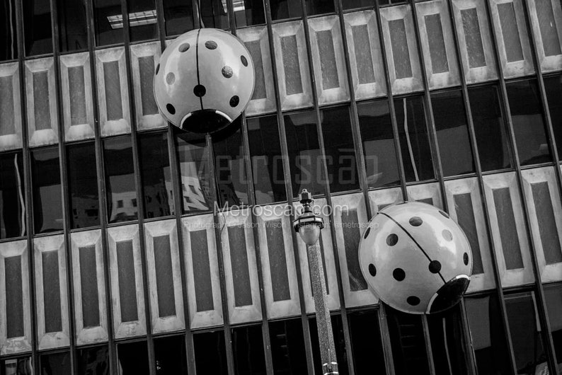 Milwaukee Pictures Black & White. Ladybug Building Downtown Milwaukee ...