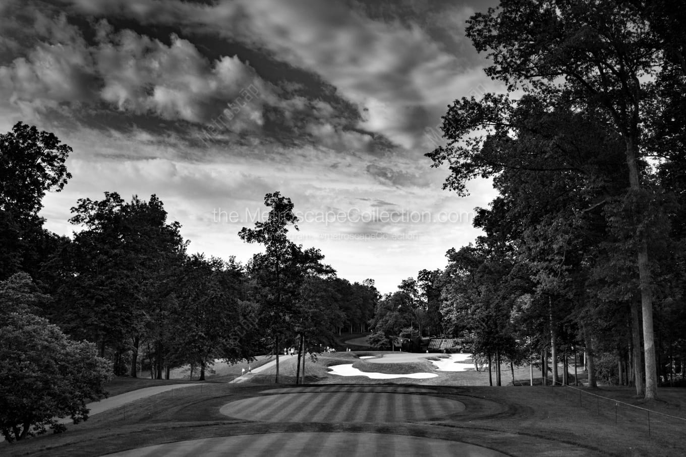 Black and White Golf Pictures, Muirfield Village Golf Club, Golf Course ...