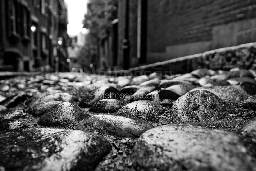 Boston Pictures Black & White. Acorn Street Cobblestones Black and ...