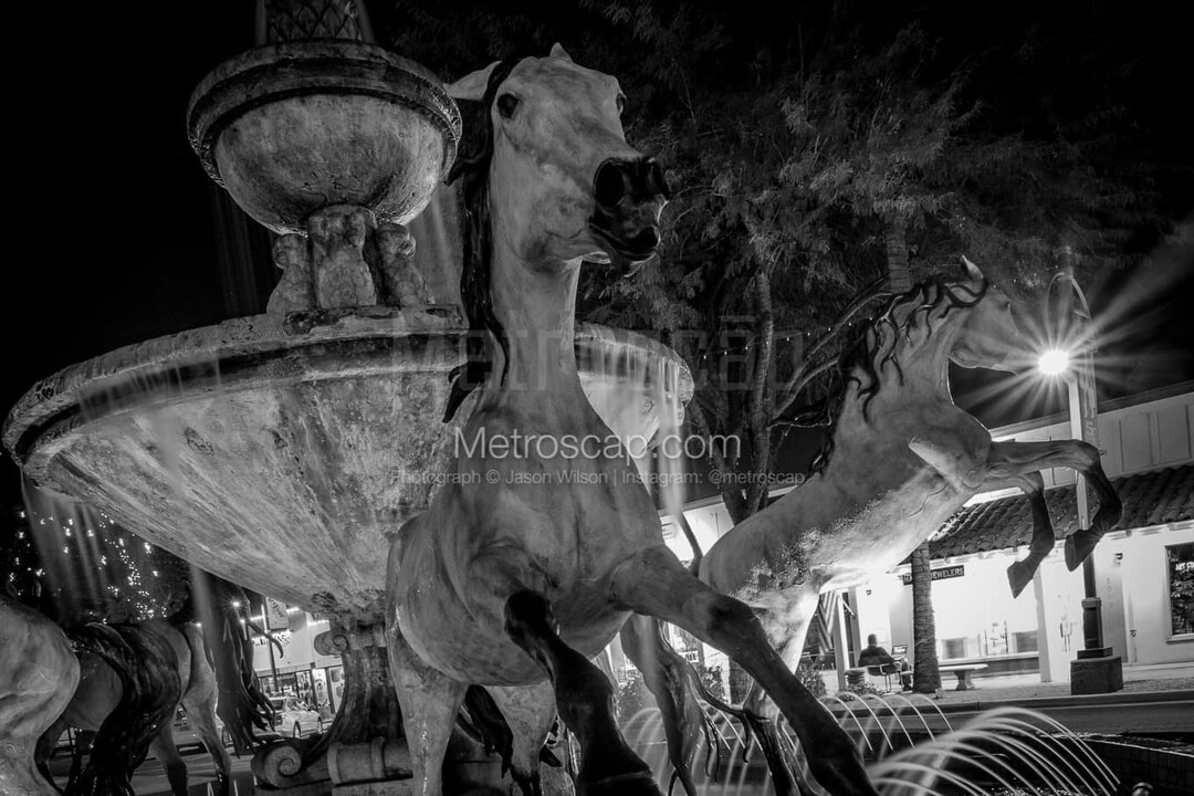 Bob Parks Horse Fountain Scottsdale Black & White Wall Art. Phoenix ...