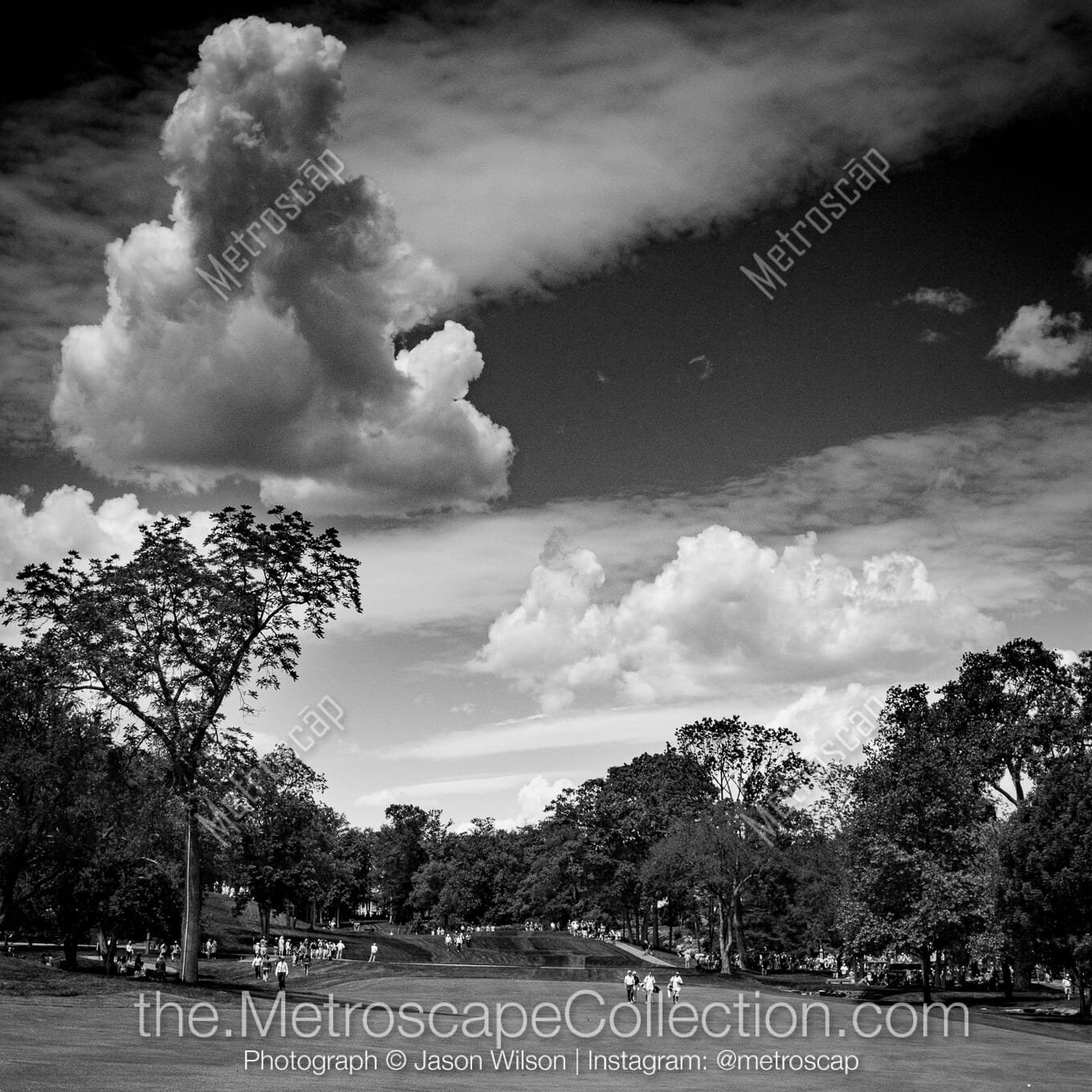 Black and White Golf Pictures, Muirfield Village Golf Club, Golf Course ...