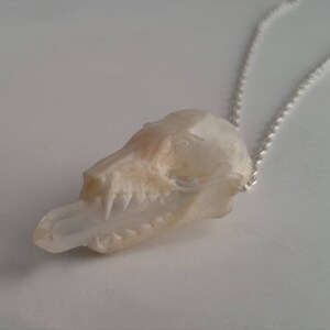 Real Bat Skull Quartz Crystal Point Oddities Necklace - Etsy