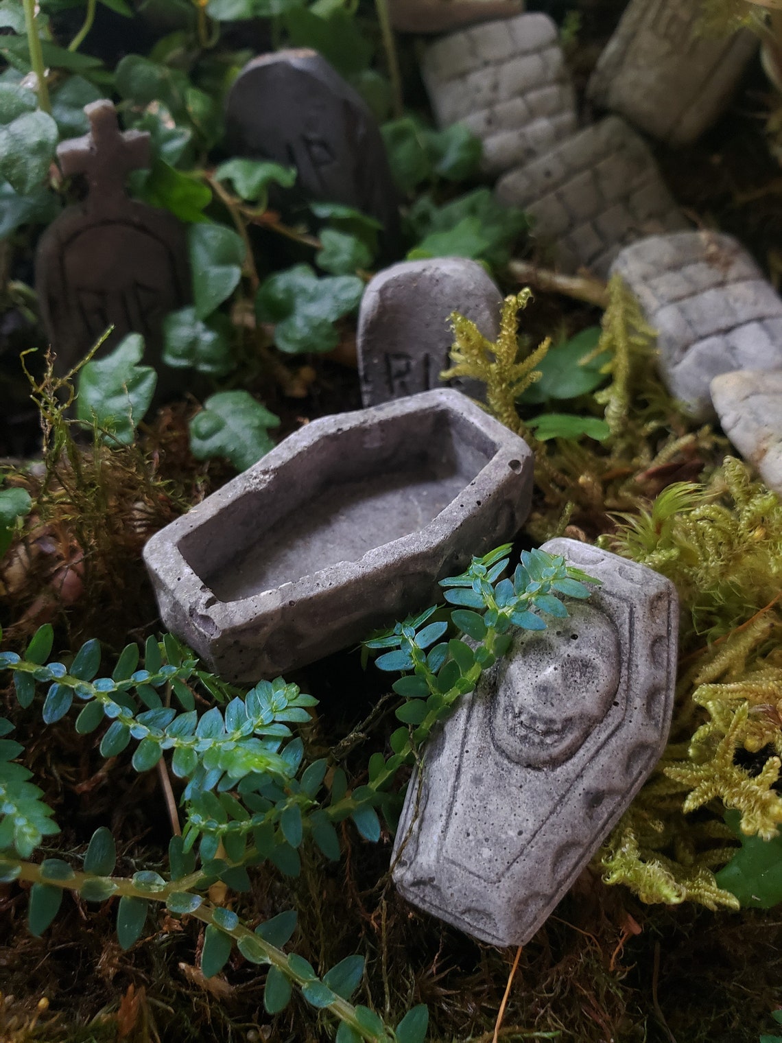Tiny Coffin Casket Cement Potted Plant Terrarium Decorations - Etsy