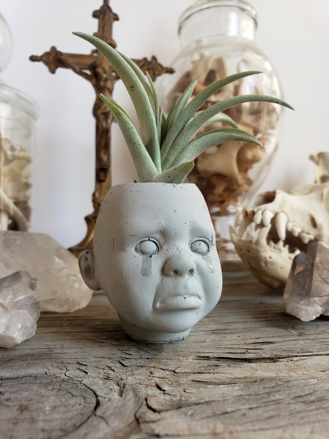 Sad Crying Baby Doll Head Creepy Cute Cement Cactus and Succulent ...