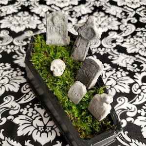 Coffin Casket Spooky Moss Mini Cemetery Planter Halloween Decor - Etsy