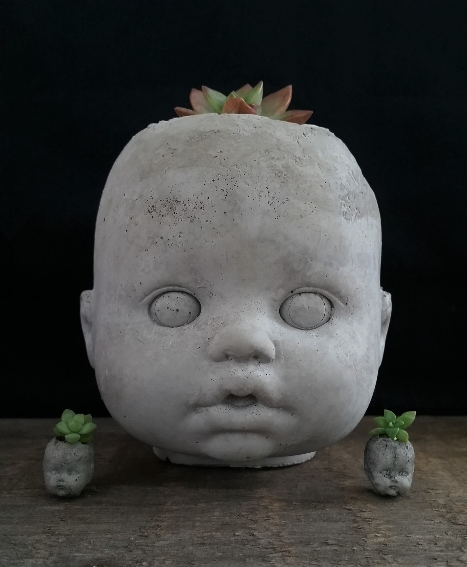Creepy Tiny Baby Head Cement Decorations for Potted Plants or Fairy ...