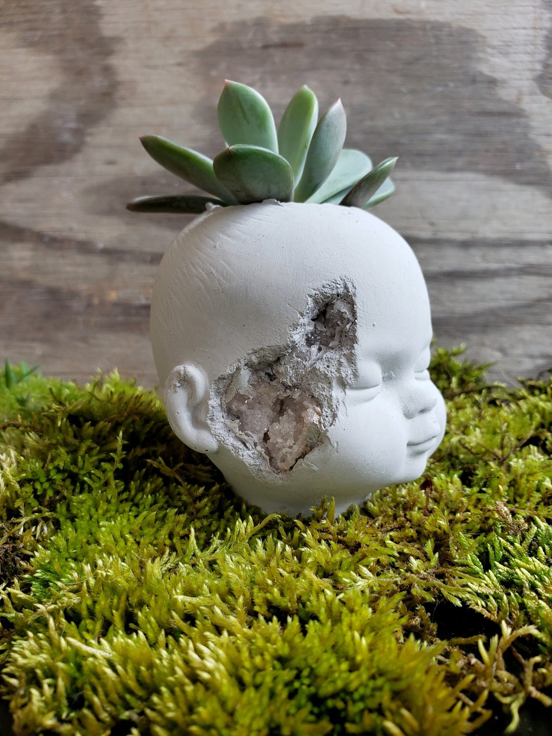 Sleeping Baby Doll Head Quartz Crystal Geode Creepy Cute Cement Cactus ...