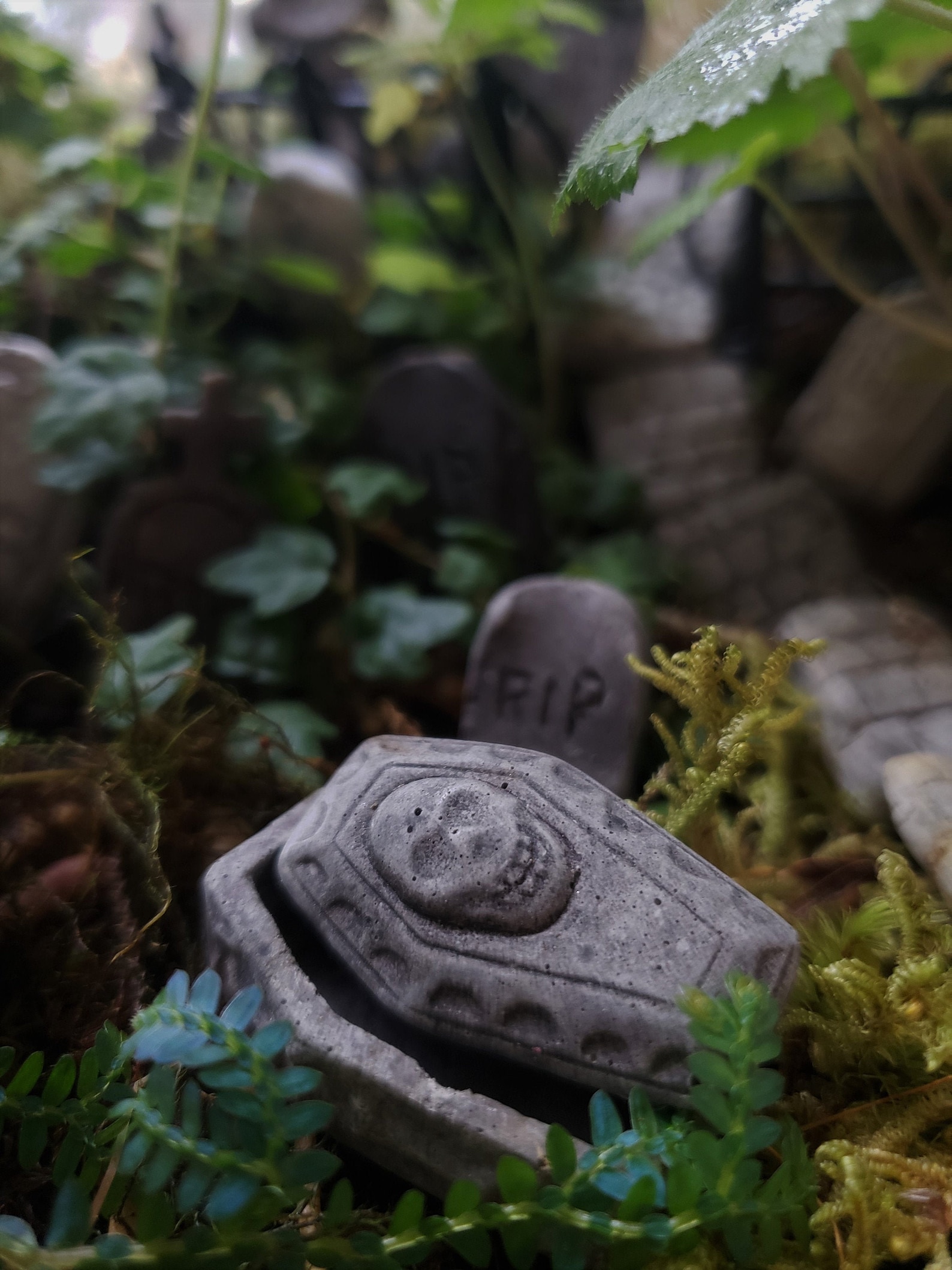 Tiny Coffin Casket Cement Potted Plant Terrarium Decorations - Etsy