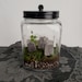 Cemetery Terrarium Kit DIY Build Your Own Terrarium Spooky Halloween ...