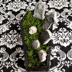 Coffin Casket Spooky Moss Mini Cemetery Planter Halloween Decor - Etsy