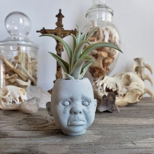 Sad Crying Baby Doll Head Creepy Cute Cement Cactus and Succulent ...