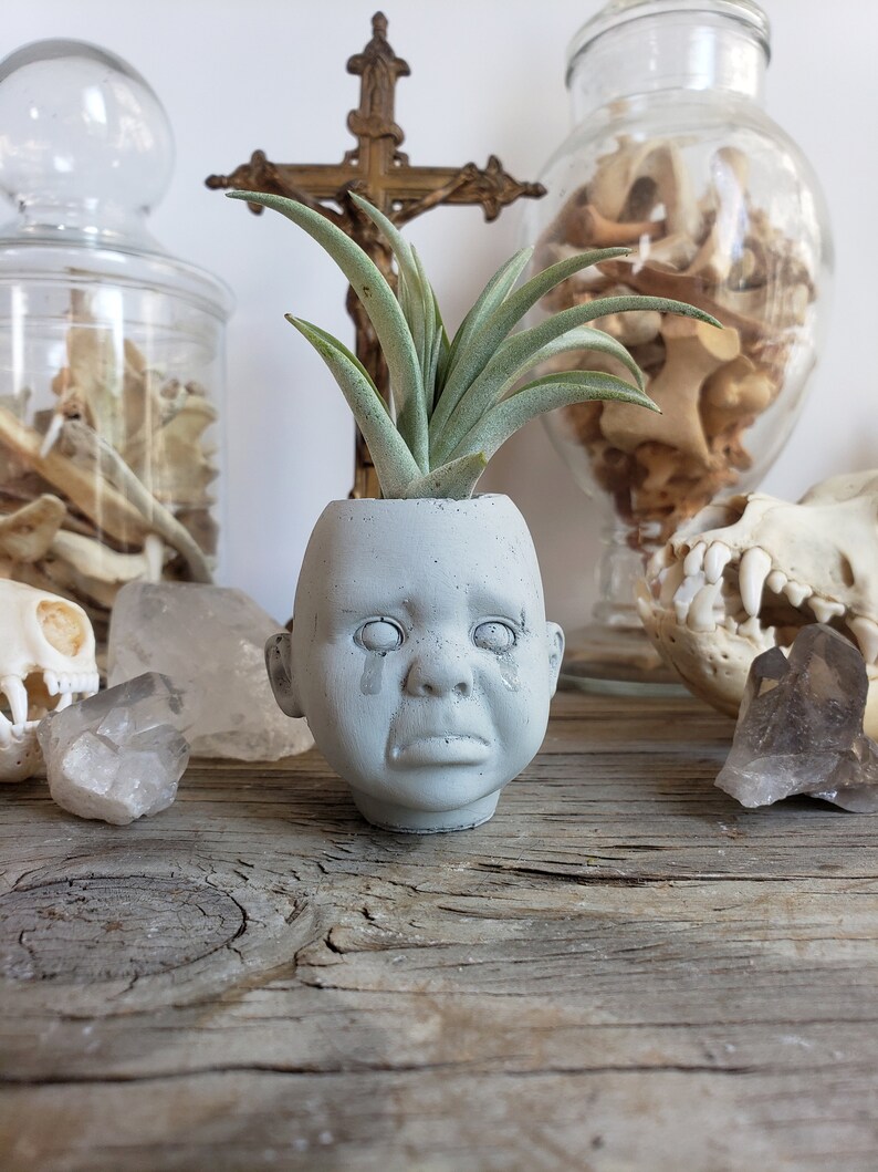 Sad Crying Baby Doll Head Creepy Cute Cement Cactus and Succulent ...