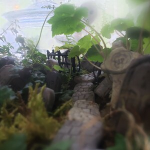 Tiny Mini Walkway Stepping Stones Pathway Cement Potted Plant Terrarium ...