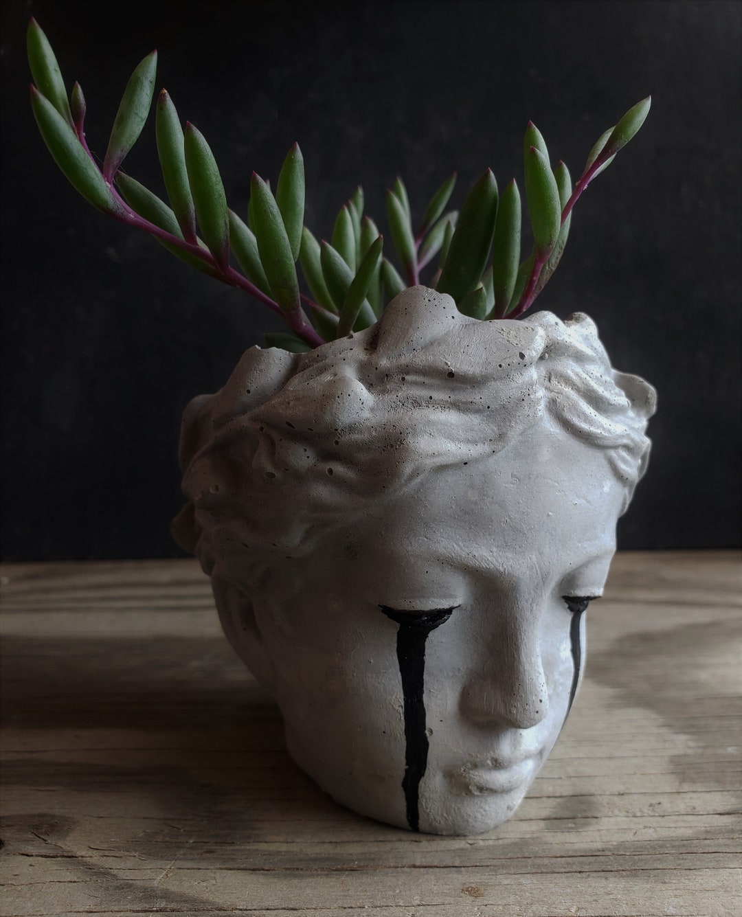 Black Crying Eyes Woman Face Greek Goddess Planter Cement Cactus and ...