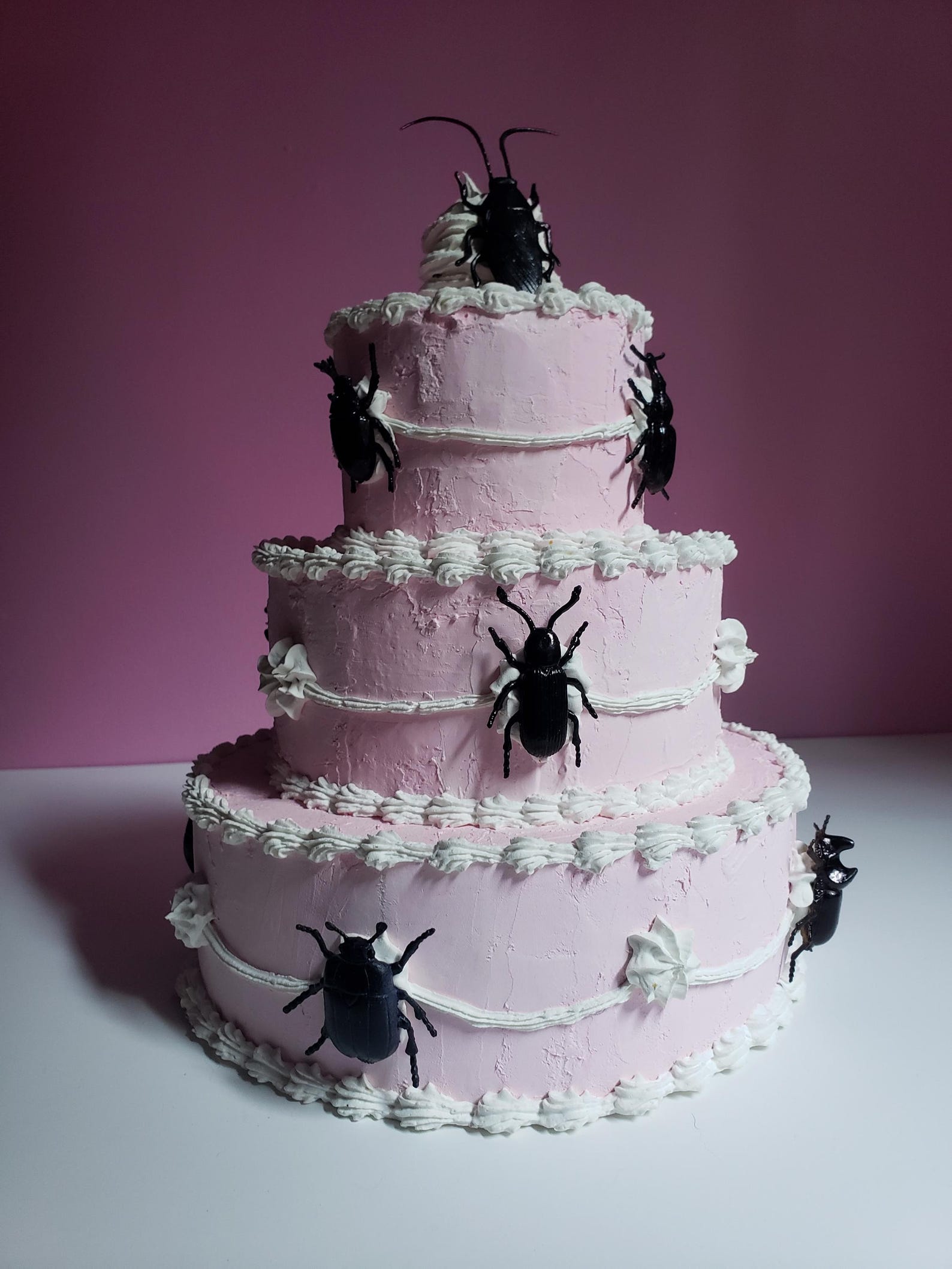 Fake Cake Beetle Bug Creepy Cakes Realistic Frosting Icing Pink Cute ...