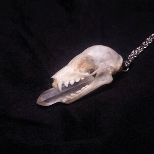Real Bat Skull Quartz Crystal Point Oddities Necklace - Etsy