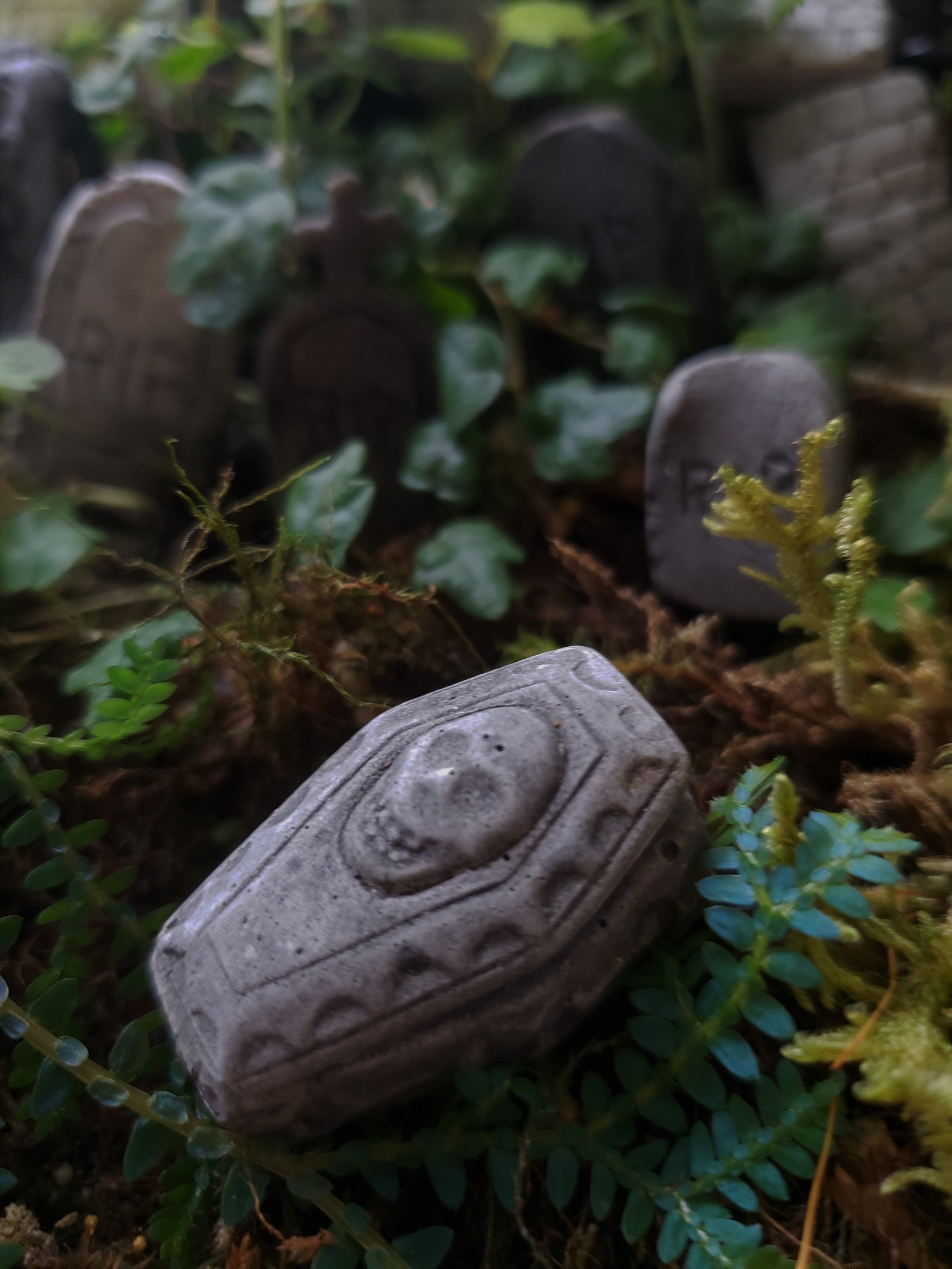 Tiny Coffin Casket Cement Potted Plant Terrarium Decorations - Etsy