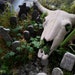 Tiny Mini Cemetery Headstone Tombstone Concrete Potted Plant Terrarium ...