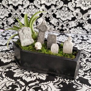 Coffin Casket Spooky Moss Mini Cemetery Planter Halloween Decor - Etsy