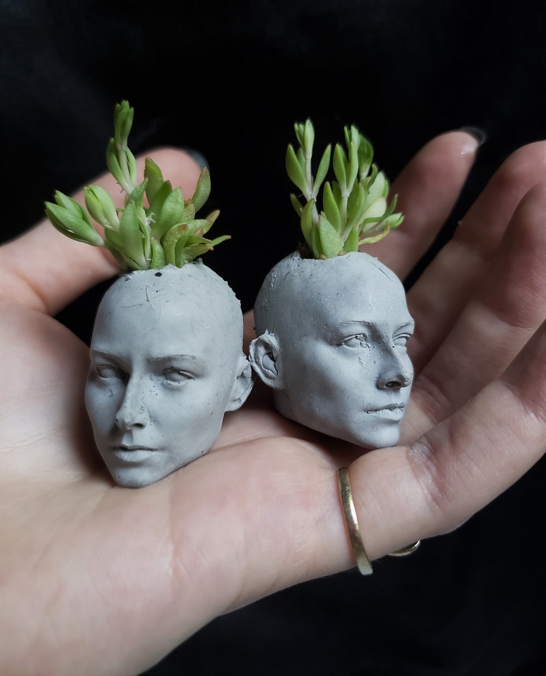 Super Realistic Miniature Face Human Head Planter Tiny Bonsai Pot - Etsy