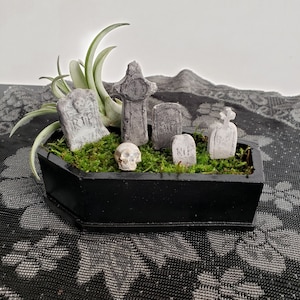 Coffin Casket Spooky Moss Mini Cemetery Planter Halloween Decor - Etsy