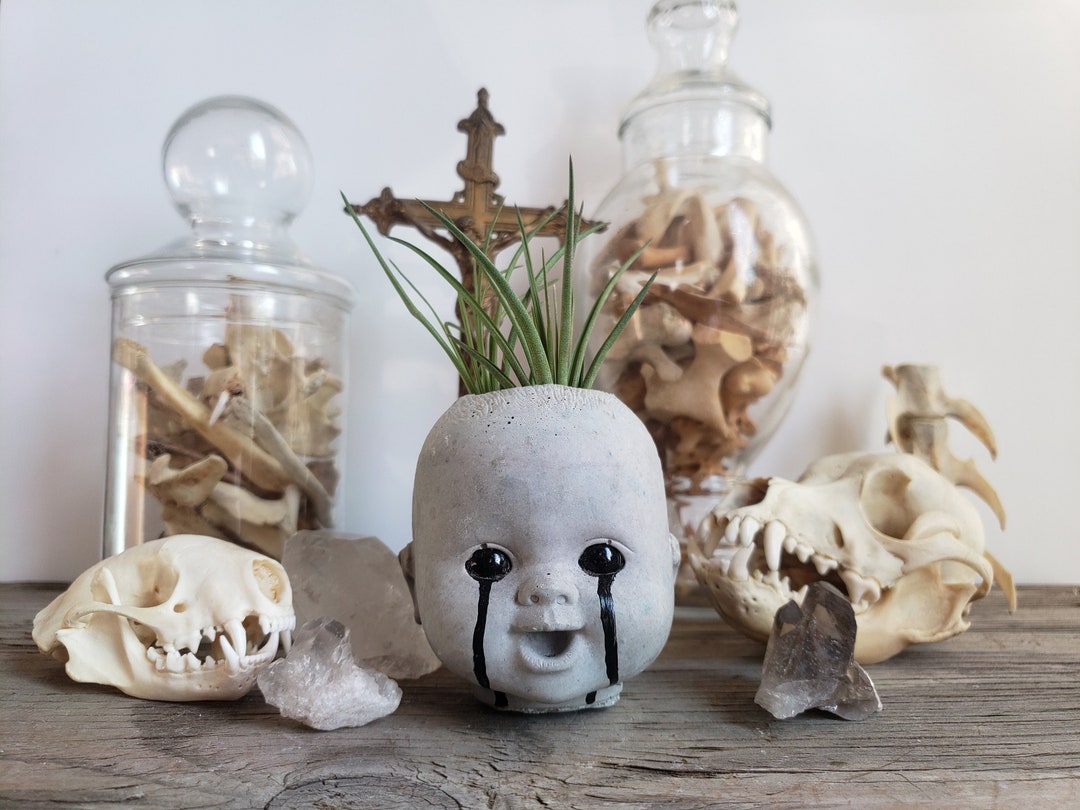 Black Eyes Crying Baby Doll Head Creepy Cute Cement Cactus and ...