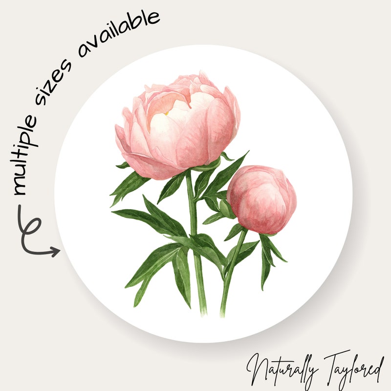Peony Sticker - Etsy