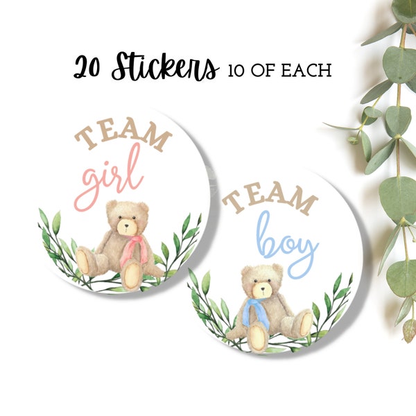 Baby Shower Supplies Boho Teddy Bear Gender Reveal Stickers - 40 Labels ...