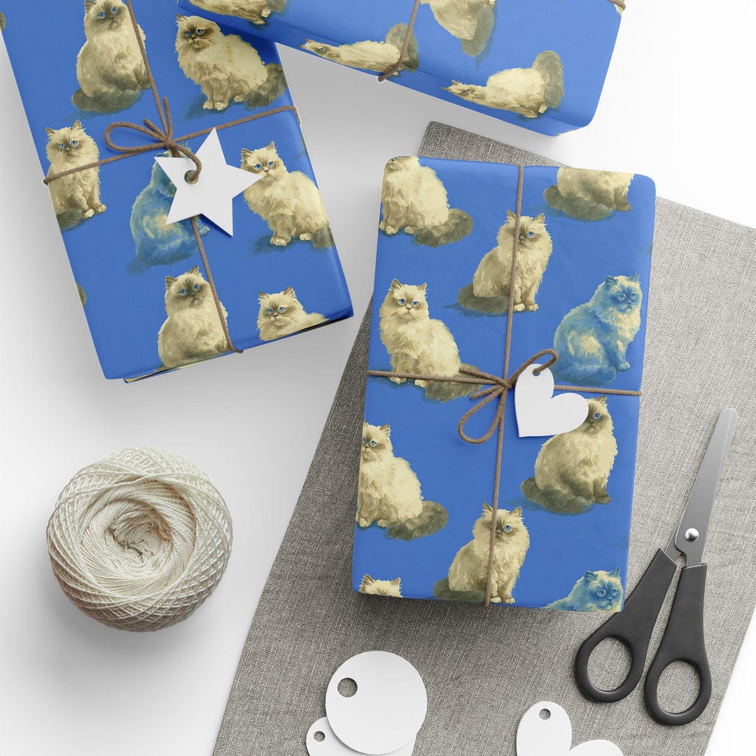 Cute Persian Kitties Pattern Wrapping Paper | Blue Abstract Holiday ...