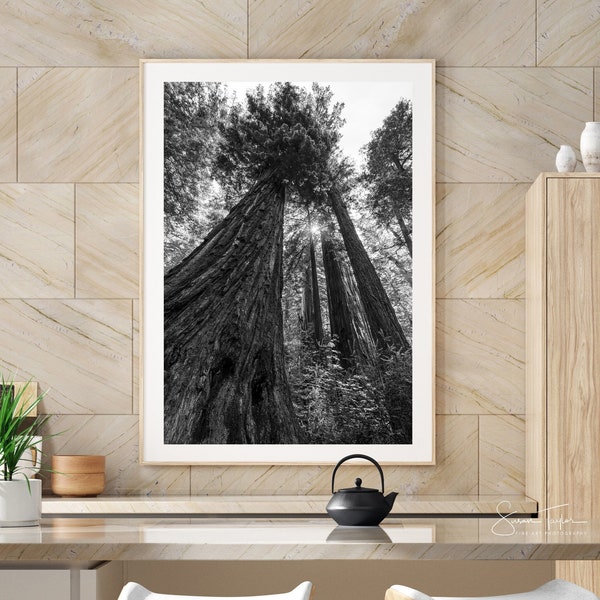 Redwood - Etsy