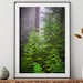 Large Oregon Forest Print, Dreamy Misty Trees, Relaxing Dogwood Flower ...
