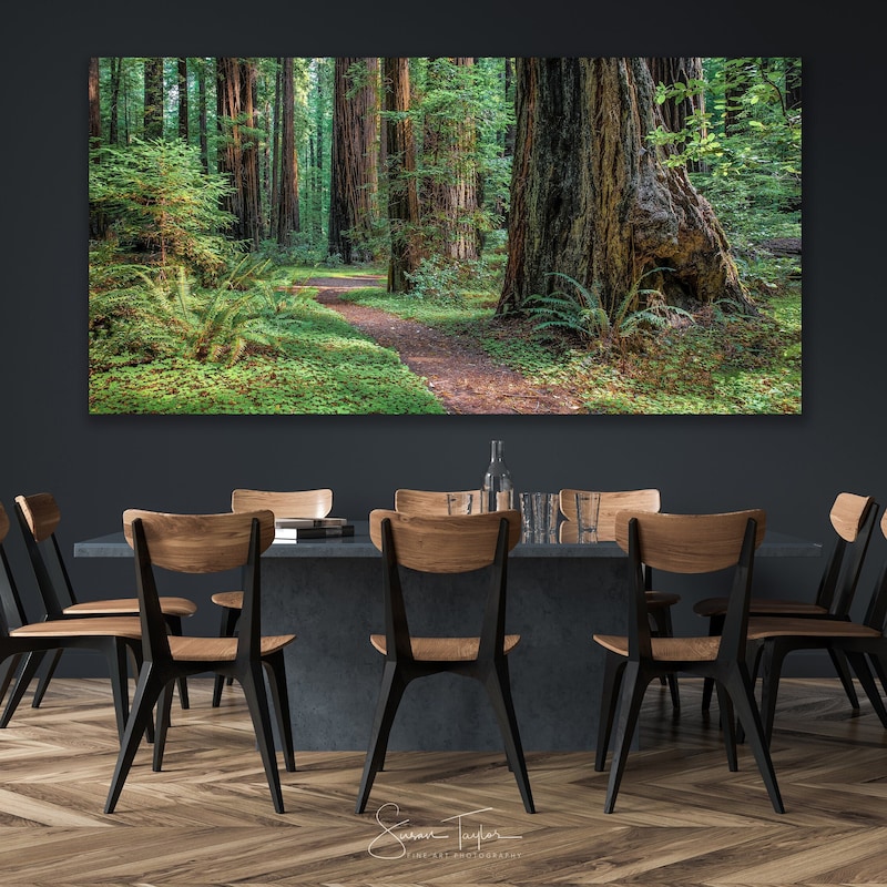 Redwood Tree Art - Etsy