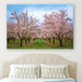 Tree Photography, Large Nature Canvas, Tree Blossom Print, Rustic Art ...
