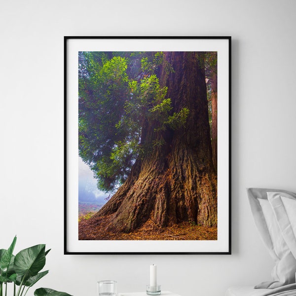 Oversized California Art Canvas - Etsy