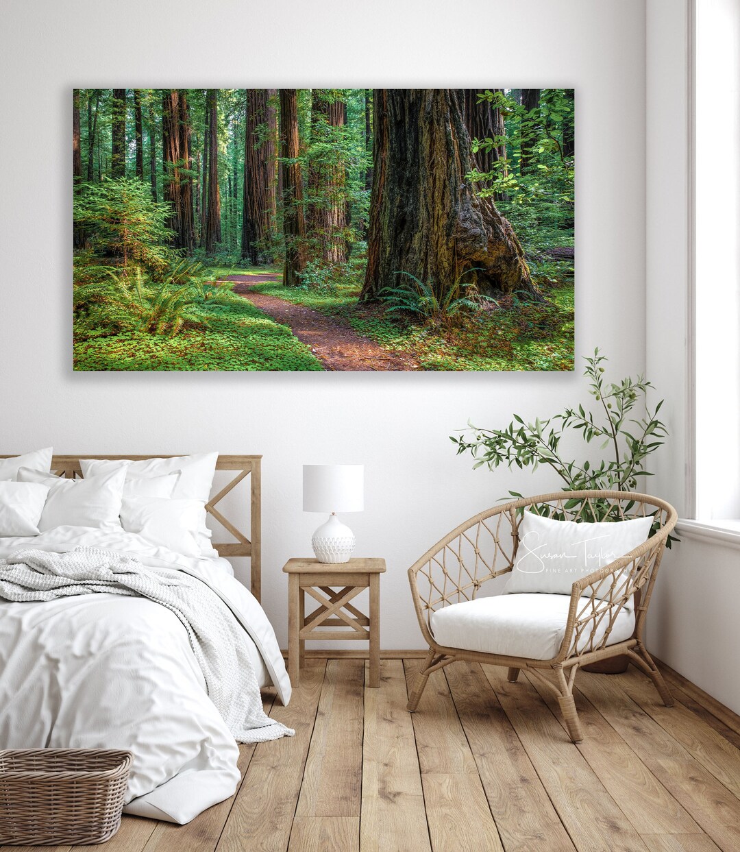 Redwood Tree Print California Redwood Canvas Forest - Etsy