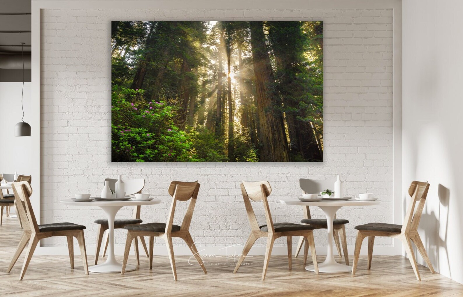 Redwood Forest Print, Large Nature Canvas, Magical Redwood Tree Photo ...