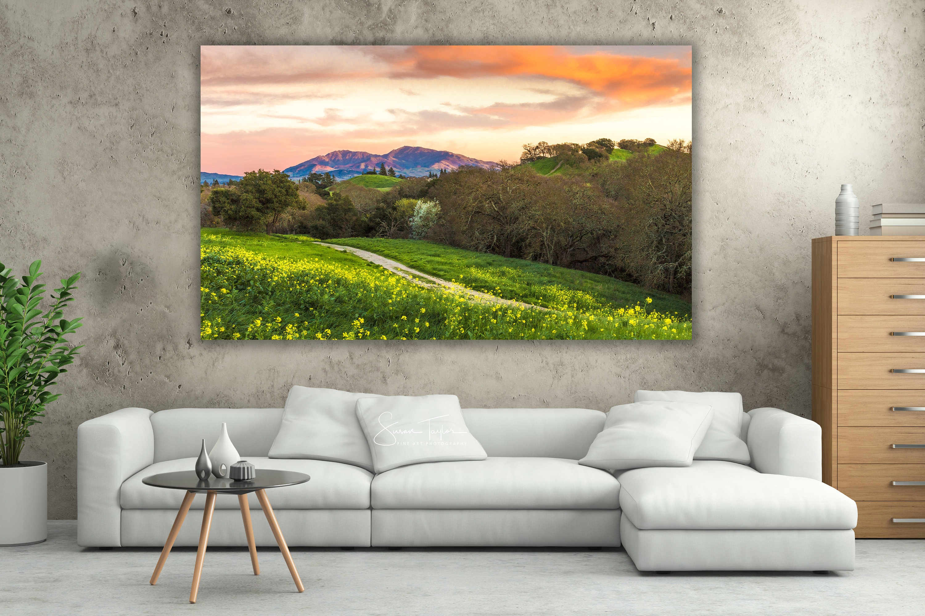 Mount Diablo, California Landscape Photography, Mt. Diablo, East Bay ...