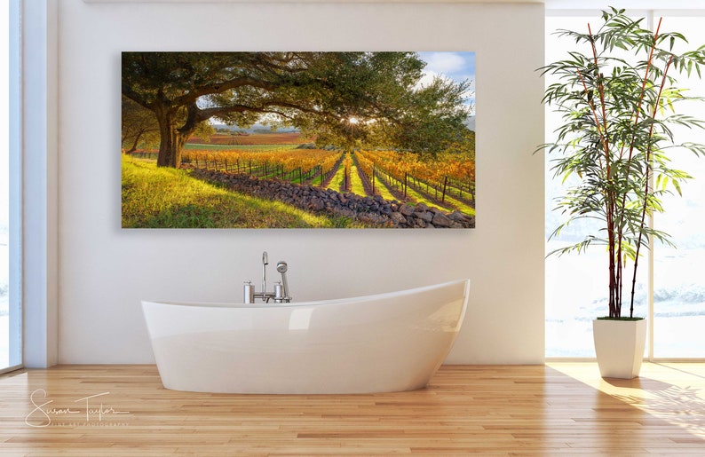 Vineyard Print Panorama Oak Tree Large Napa Valley Photo - Etsy