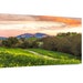 Mount Diablo, California Landscape Photography, Mt. Diablo, East Bay ...