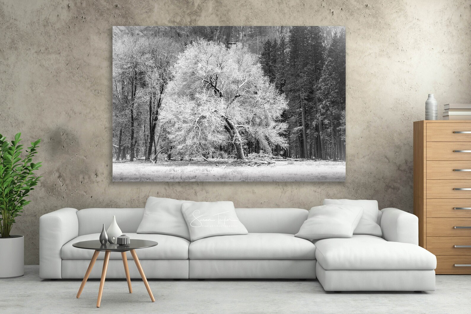 Large Yosemite Decor, Black and White Yosemite Print, Winter Forest ...