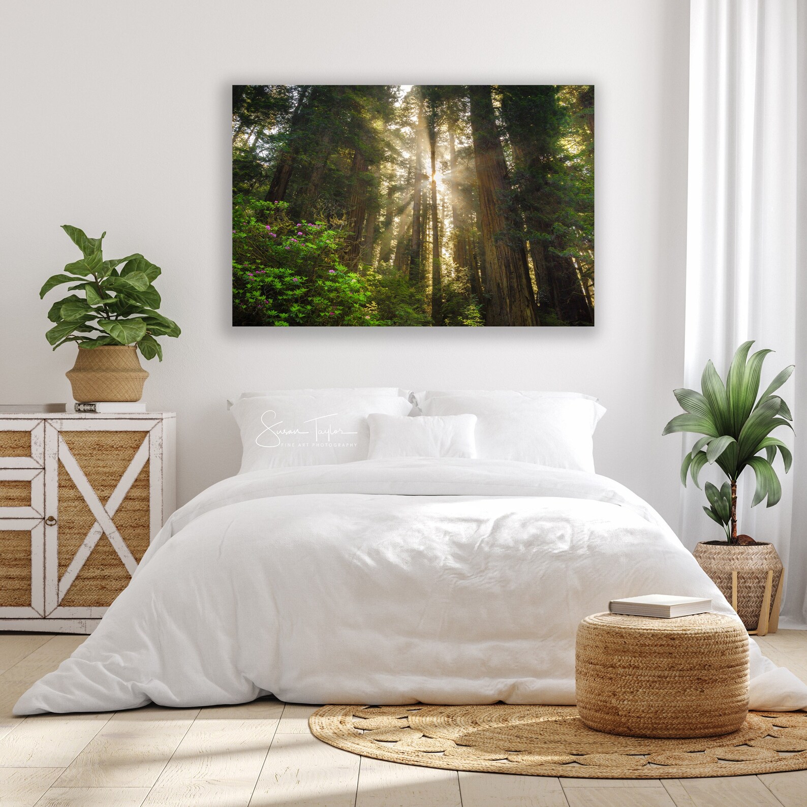 Redwood Forest Print Large Nature Canvas Magical Redwood - Etsy