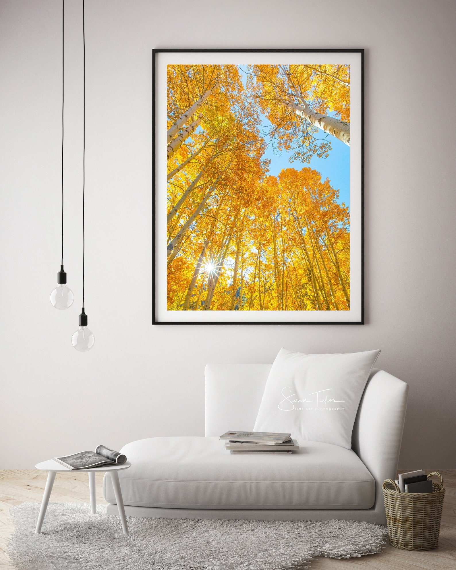 Large Aspen Forest Print, Golden Aspen Canopy Photo, Fall Foliage ...