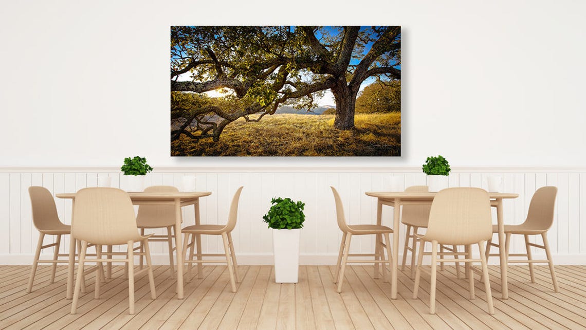 Large Panorama Tree Print California Landscape Photo Bay - Etsy