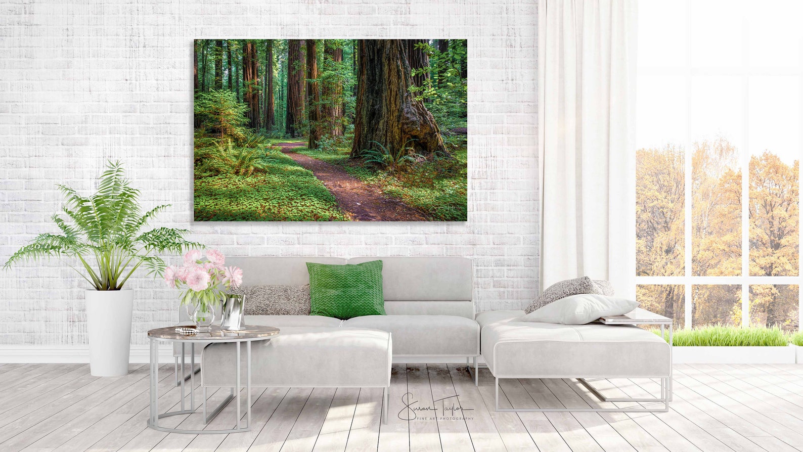 Redwood Tree Metal Print, Forest Metal Picture, Fine Art Metal Print ...