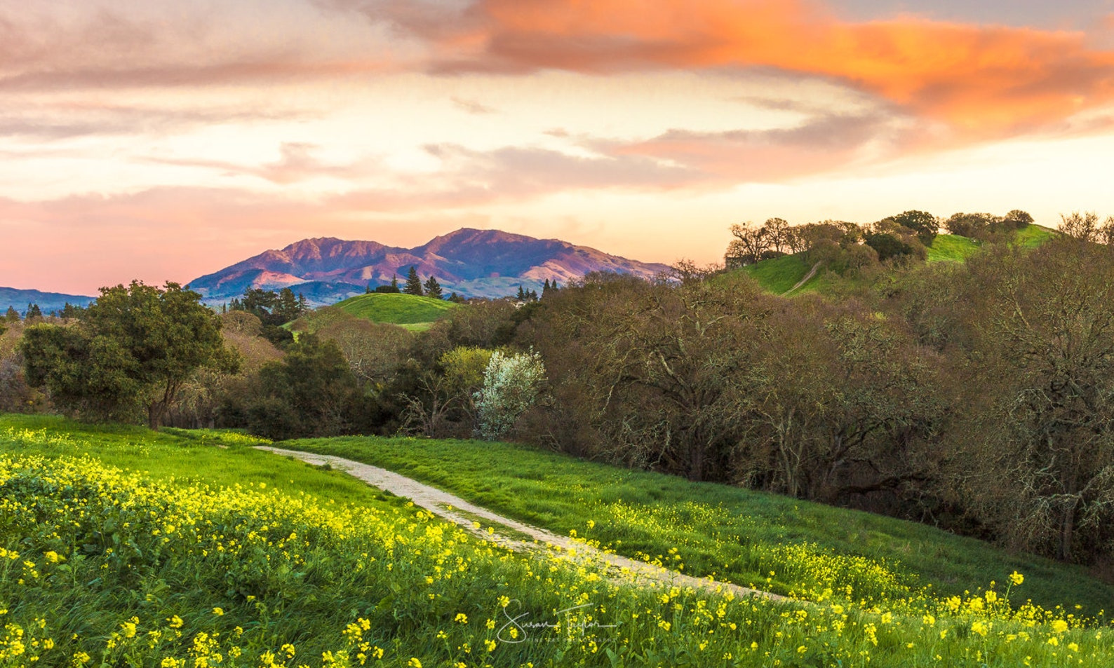 Mount Diablo, California Landscape Photography, Mt. Diablo, East Bay ...